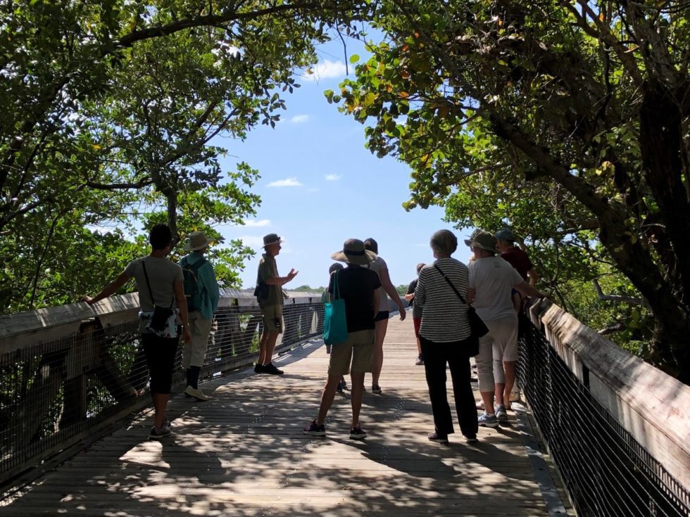 Guided Nature Walk - Every Monday-Saturday - Friends of MacArthur Beach ...